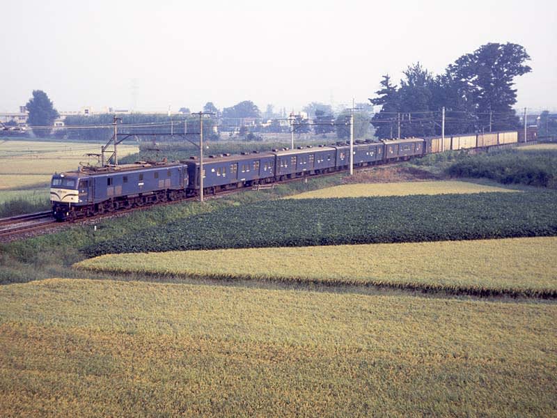 今週の写真（8/19）／白岡陸橋（2） - 趣味の写真帳