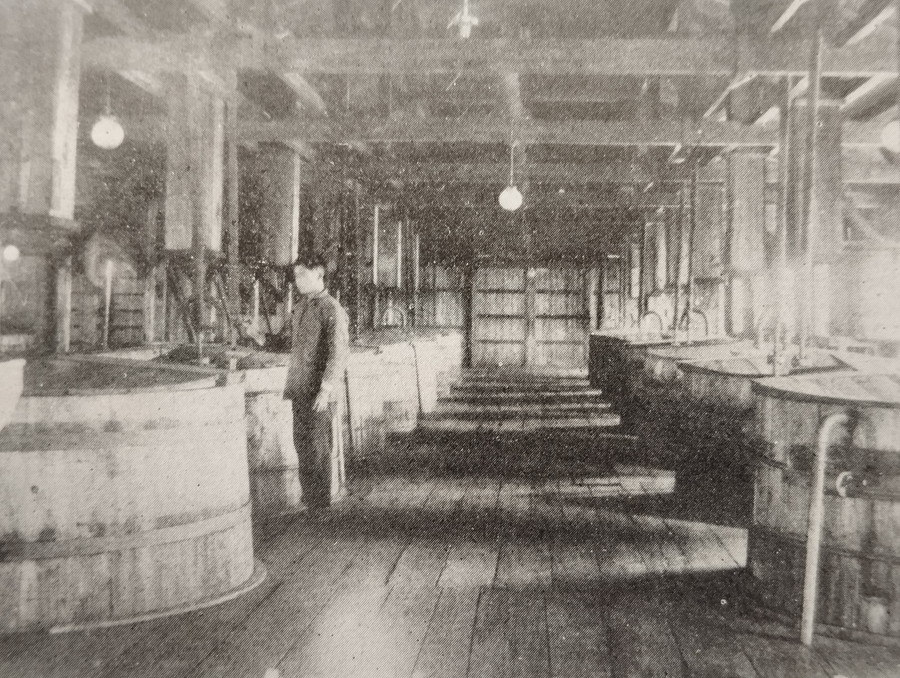 War Dogs - 書痴の廻廊