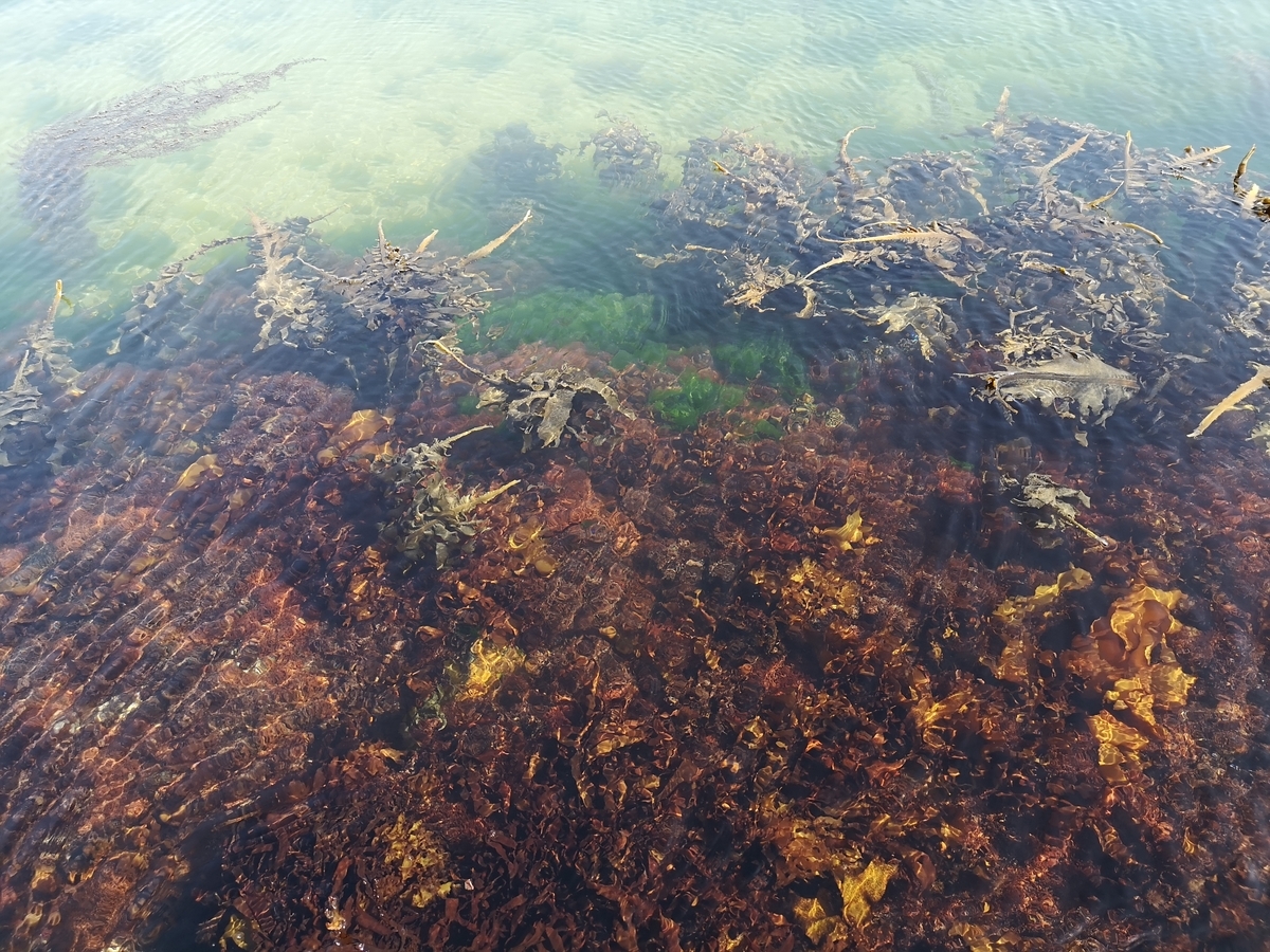 たったそれだけのこと。 - Satochang’s blog