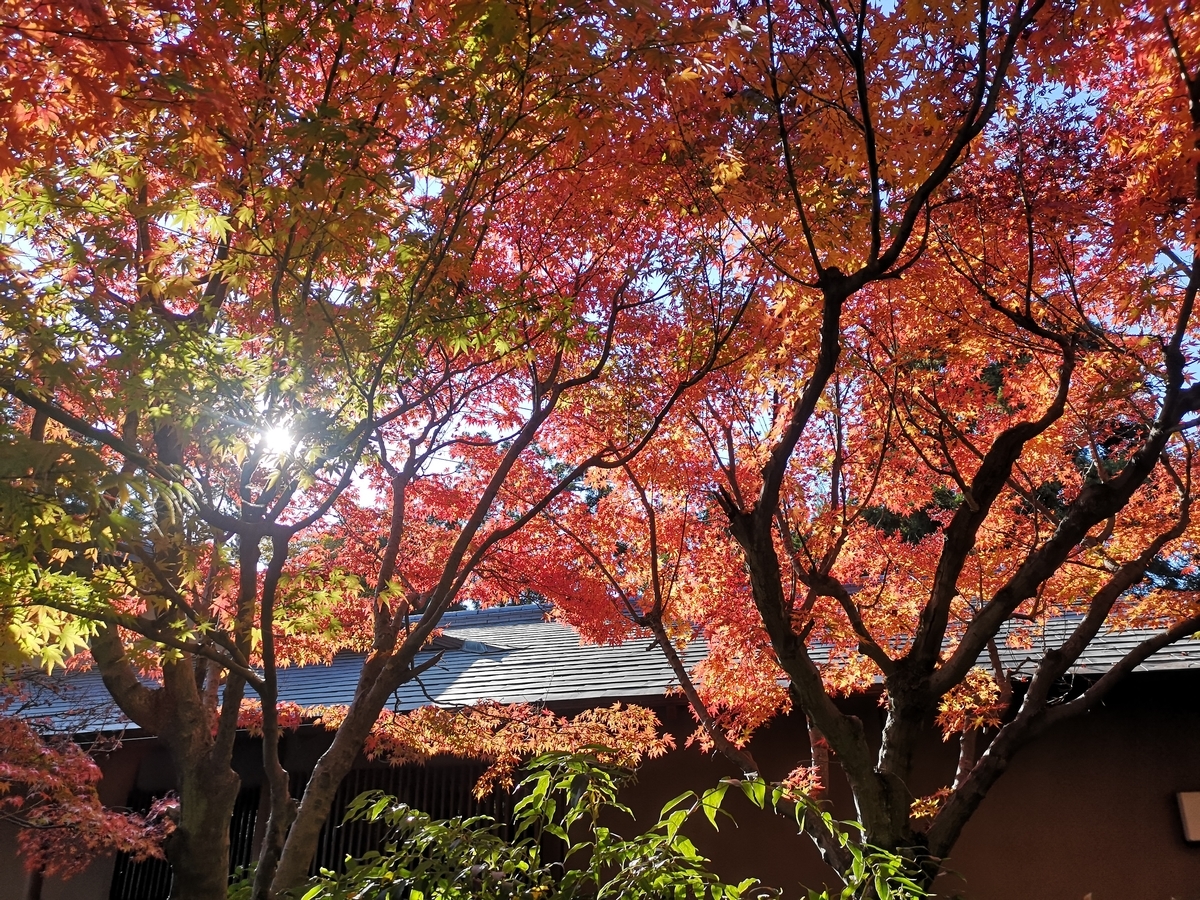 好きなものと - Satochang’s blog