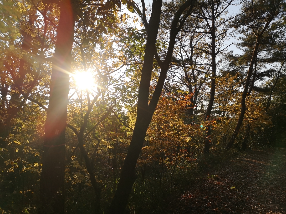 きっとそれは、わたしの気分 - Satochang’s blog