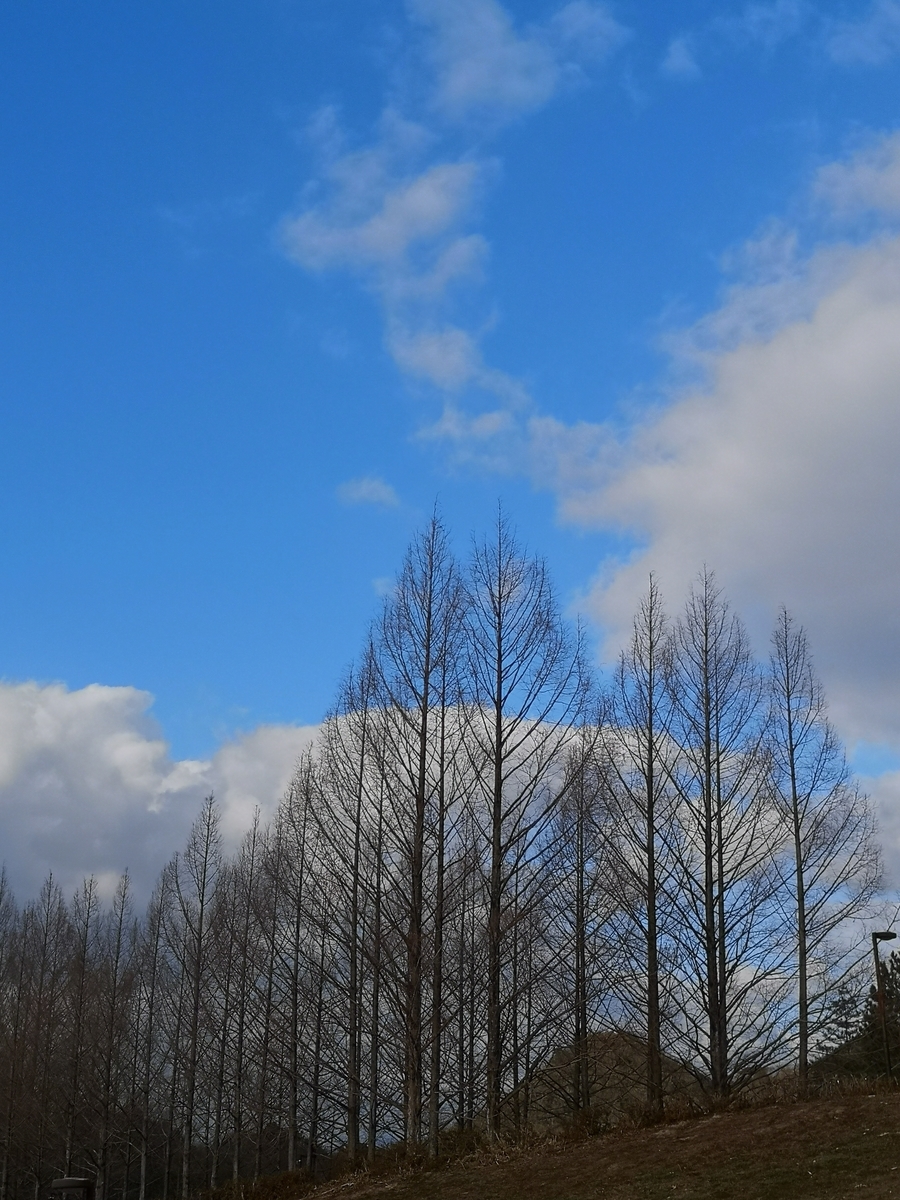 どうしようもない、どうもしなくていい。 - Satochang’s blog