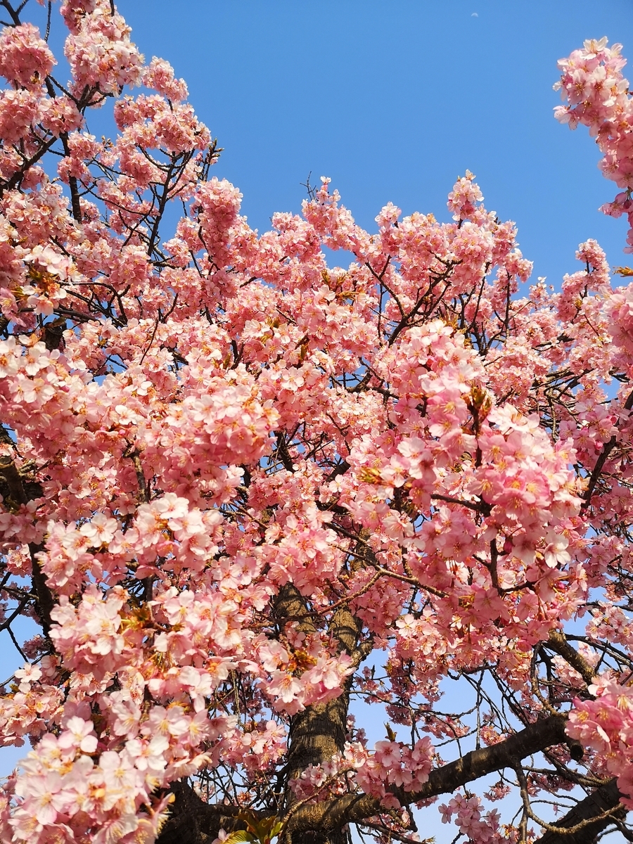 ちょっとそのままわたしを抱いてて、抱かせてあげる - Satochang’s blog