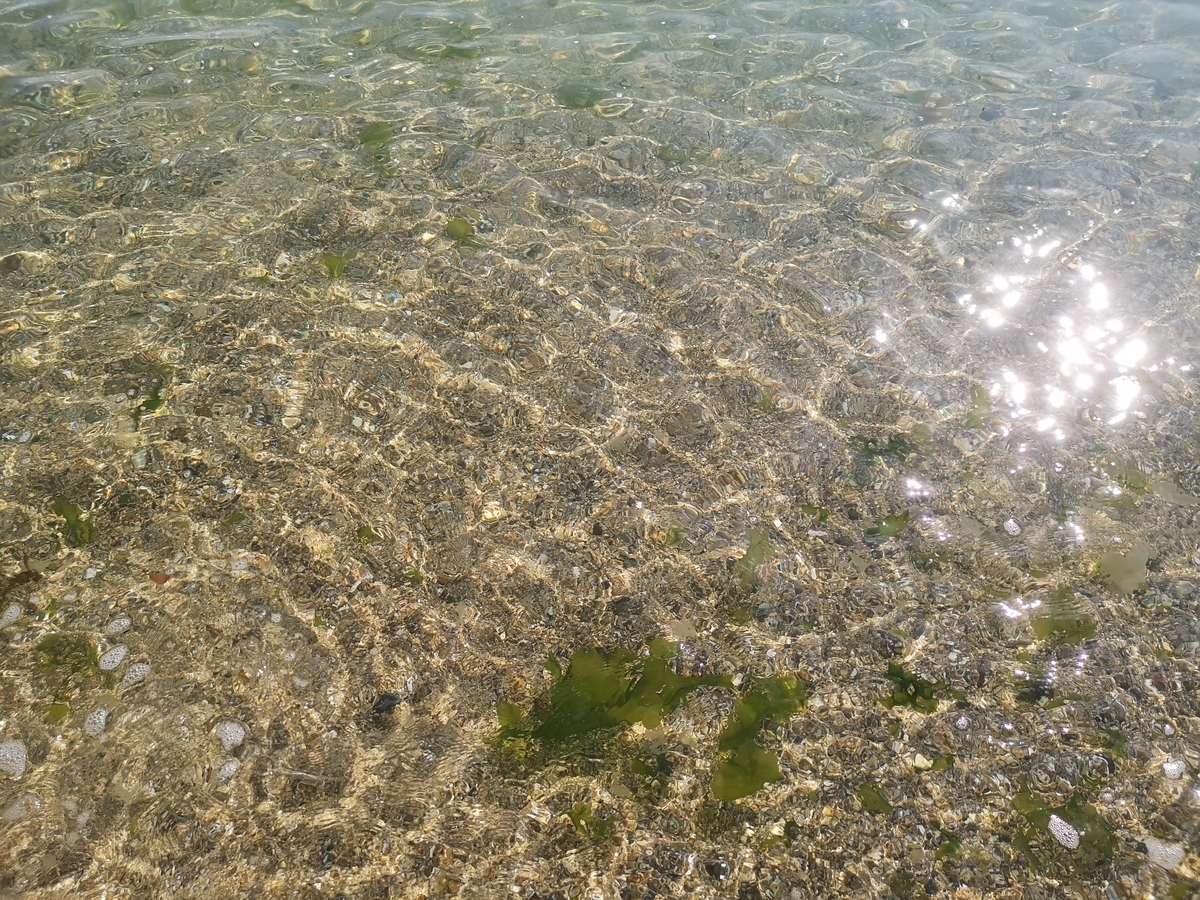 もっともっと感じたい。 - Satochang’s blog