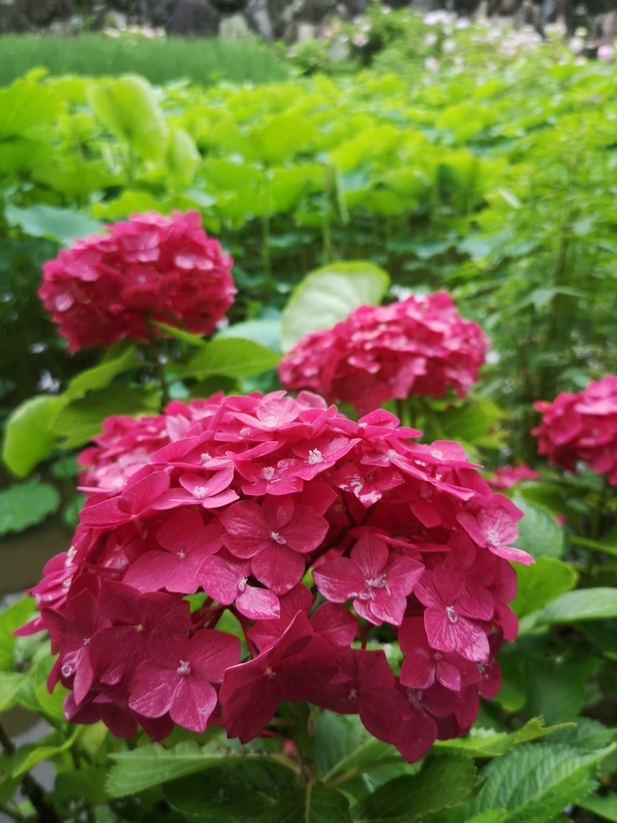 その笑顔に素直に答えられなかった。 - Satochang’s blog