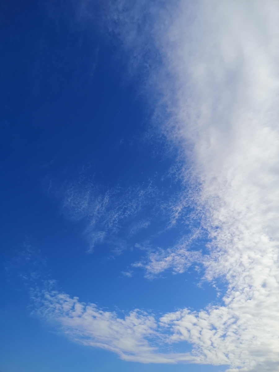 大きく広がる世界を見れたらいい、小さい何かに囚われないで。 - Satochang’s blog