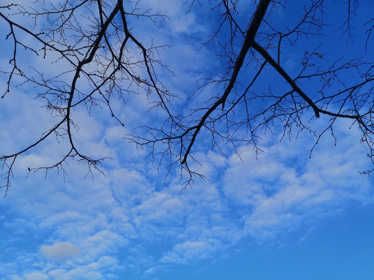 きっと一瞬でも、そのときのしあわせは変わらない。 - Satochang’s blog