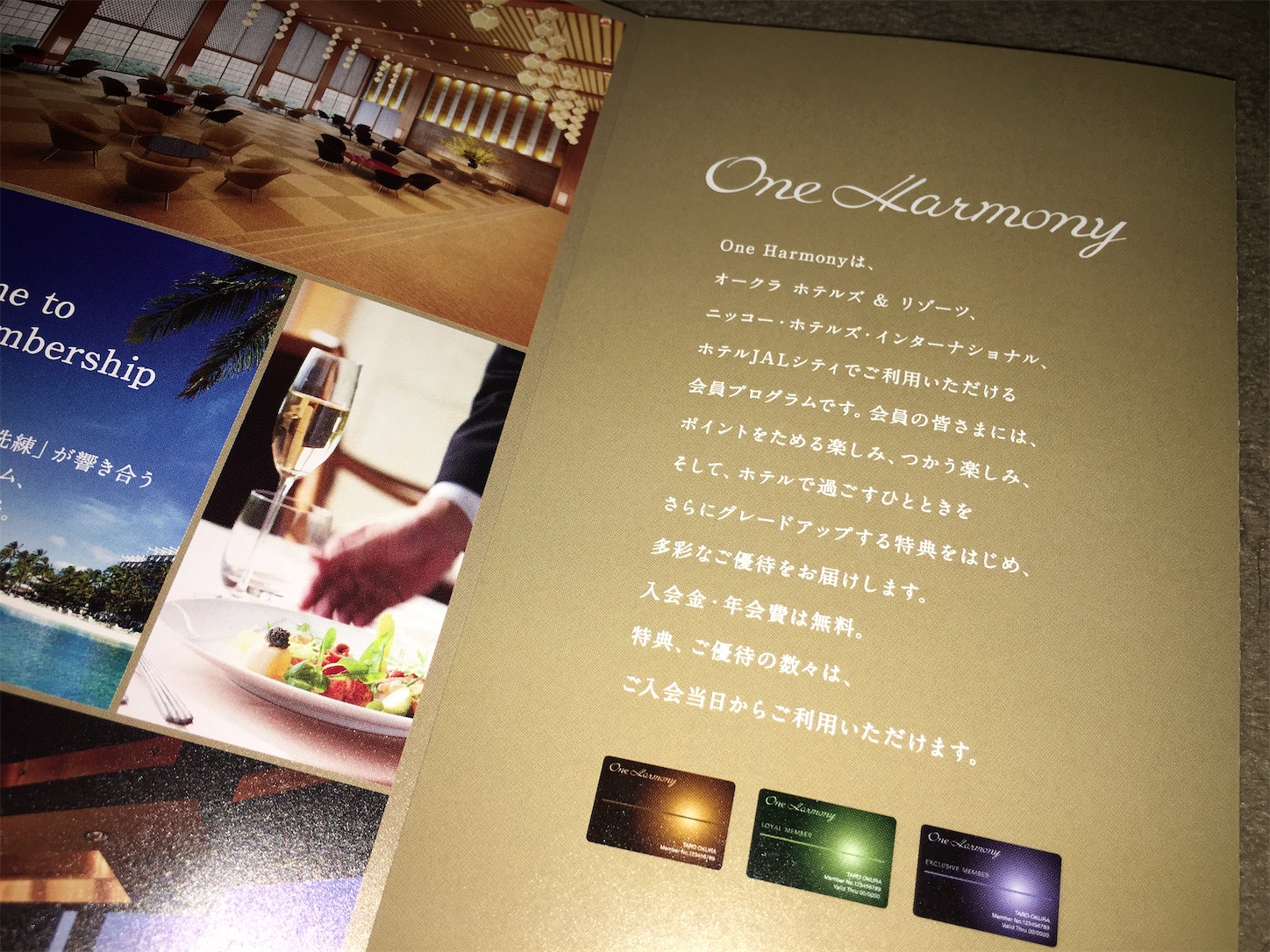 One Harmonyの会員カードが届きました - 清楚咲夜の日記
