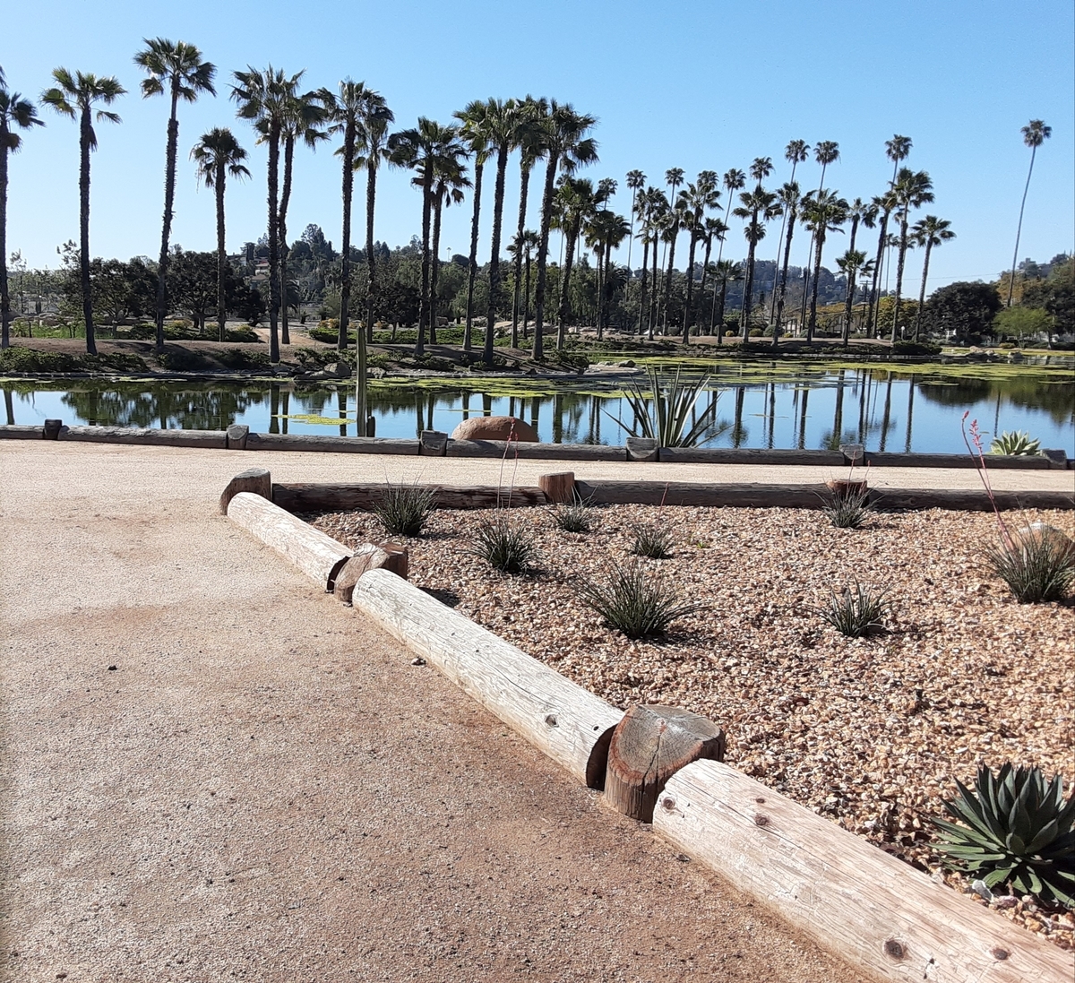 Silver Lake にある別の貯水池: Rowena Reservoir - Silver Lake ブログ