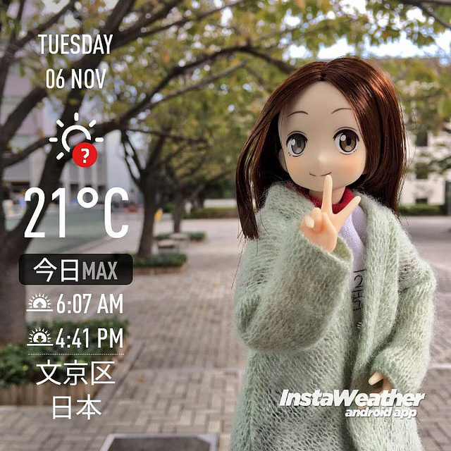Instaweather：2018-11-06〜11-10 - 六月の雪