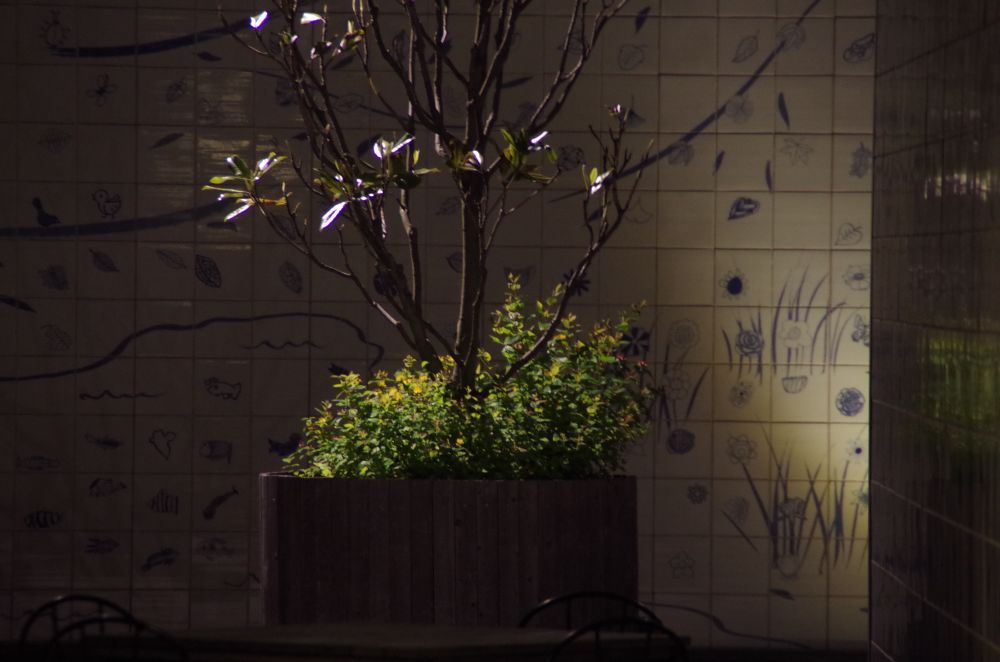 いきなり沼に突っ込んでてむせる - Spawning_Pool