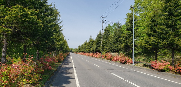 新たな気づきを探し求める散歩道 (その6) - Squid_Angler_55’s blog