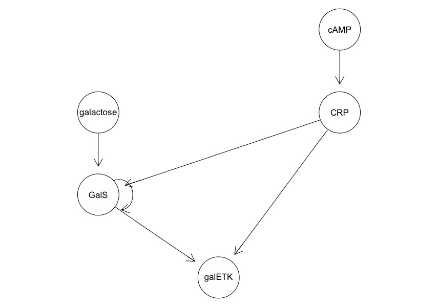 KEGGをRから使って可視化までさせてみる - KEGGgraph - St_Hakky’s blog