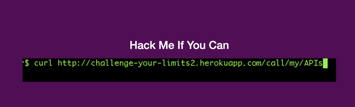 Hack Me If You Can - Programming Journal