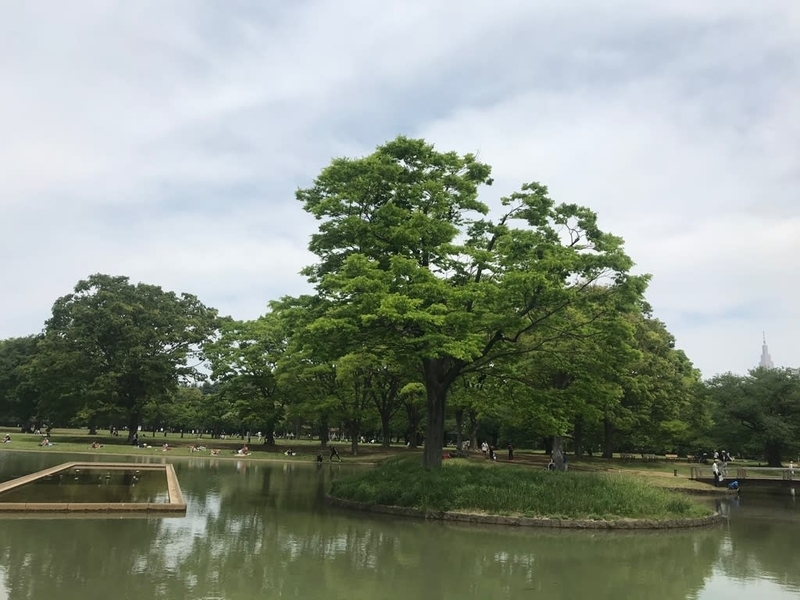 人生最高アゲイン - Sublimenofxのブログ