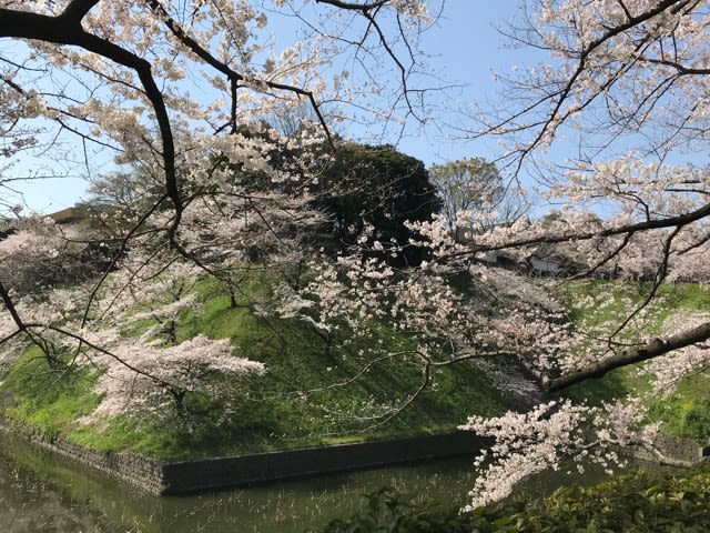 ワラーチでラン - Sublimenofxのブログ