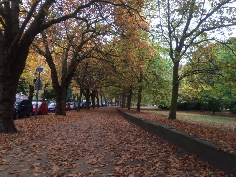 秋深し - Sublimenofxのブログ