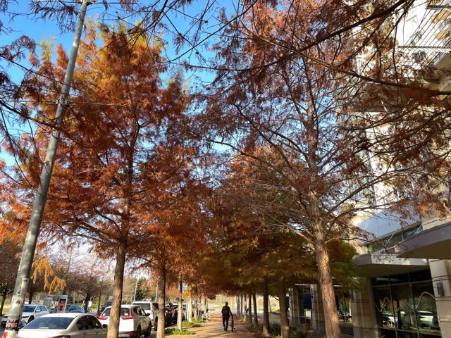 もうすぐだ - Sublimenofxのブログ