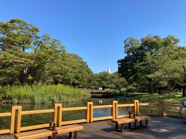 一旦見納めの代々木公園 - Sublimenofxのブログ