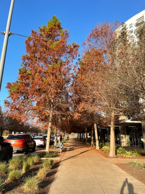 もうすぐだ - Sublimenofxのブログ