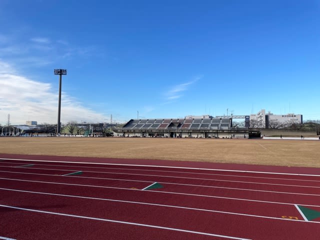 一年の総括 - Sublimenofxのブログ