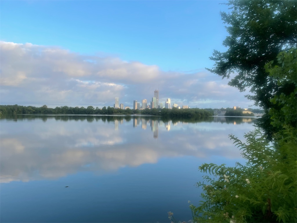 もう半年か - Sublimenofxのブログ