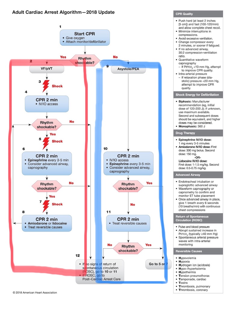 心停止、PEAアルゴリズム - Dream-Nursing