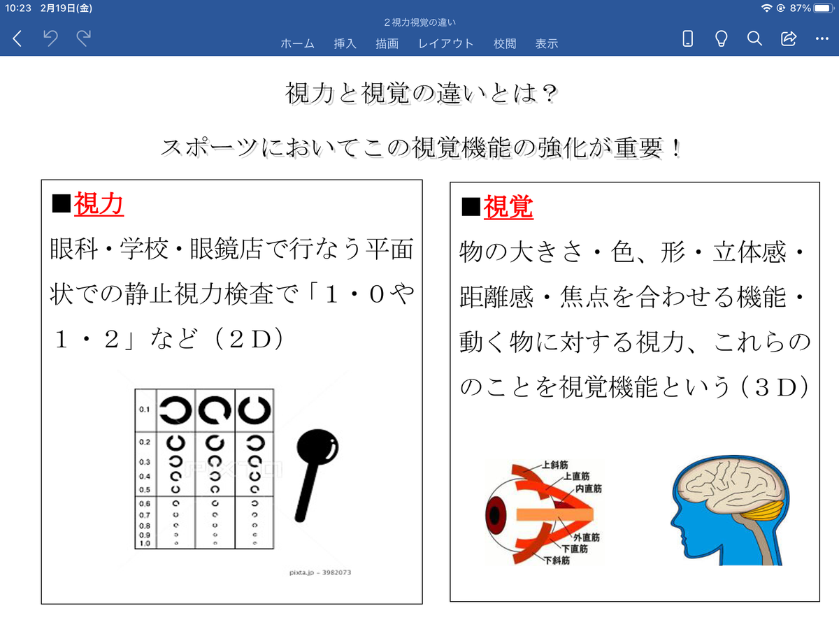 US-VT ビジョントレーニング ！「見て」〜「行動・動作」までのプロセス！ - US-VT ビジョントレーニング TARAchangブログ