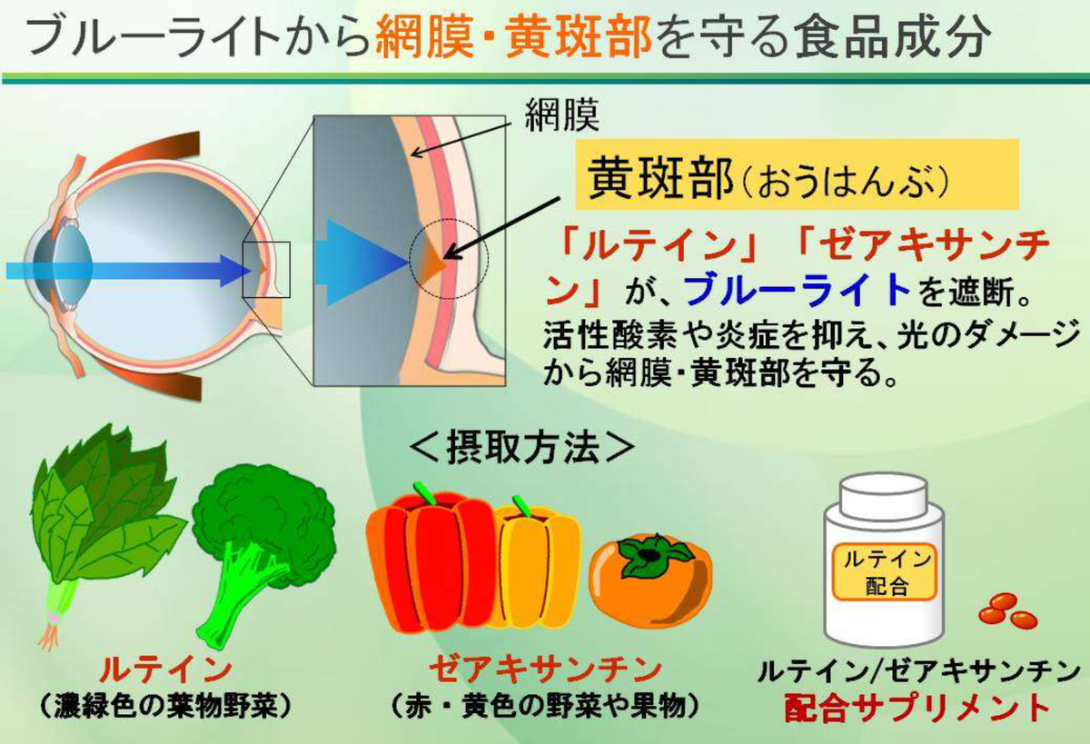周辺視野強化！視覚情報の伝達スピードとコントラスト感度をUPするには⁉︎ US-VTビジョントレーニング理論 - US-VT ビジョン ...