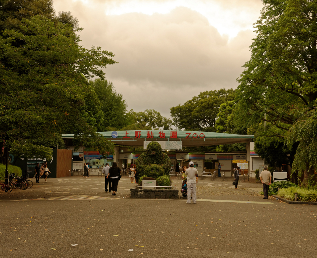 真夏の夜の動物園 - TNPConT’s blog