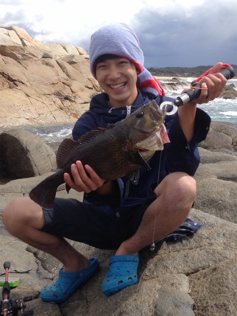 Eastern Wirrah Cod という魚 - THE TARO LIFE!!