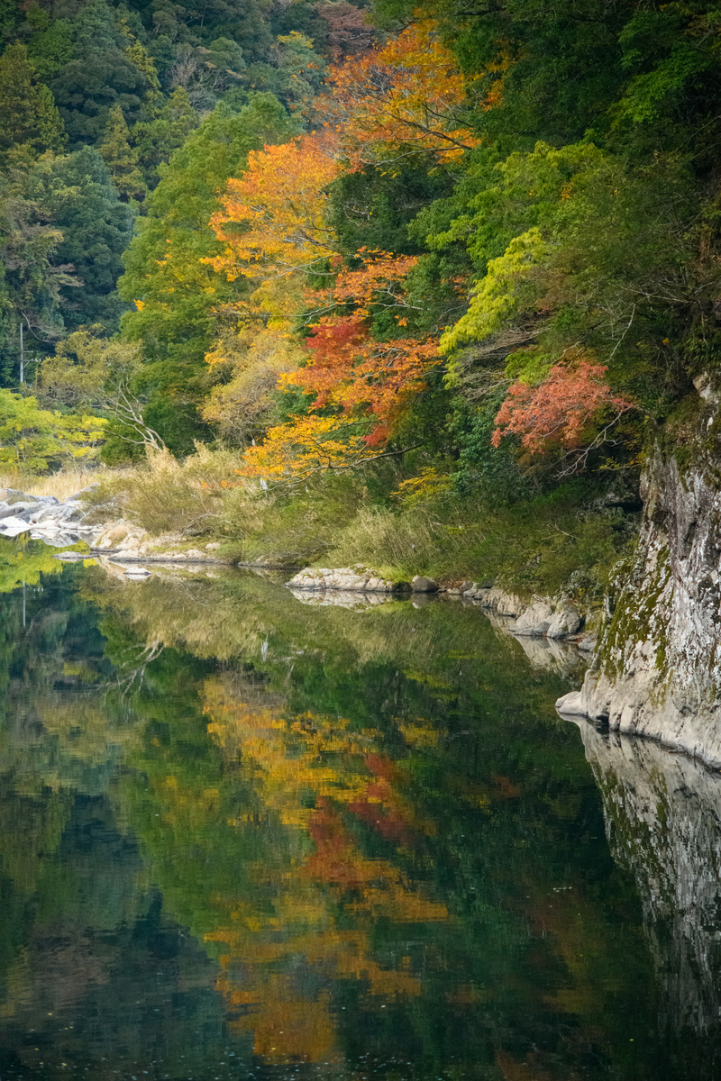 【Lightroom】アナタの写真が劇的に変わる！ 魔法の無料プリセット詰め合わせ - PhoNovice