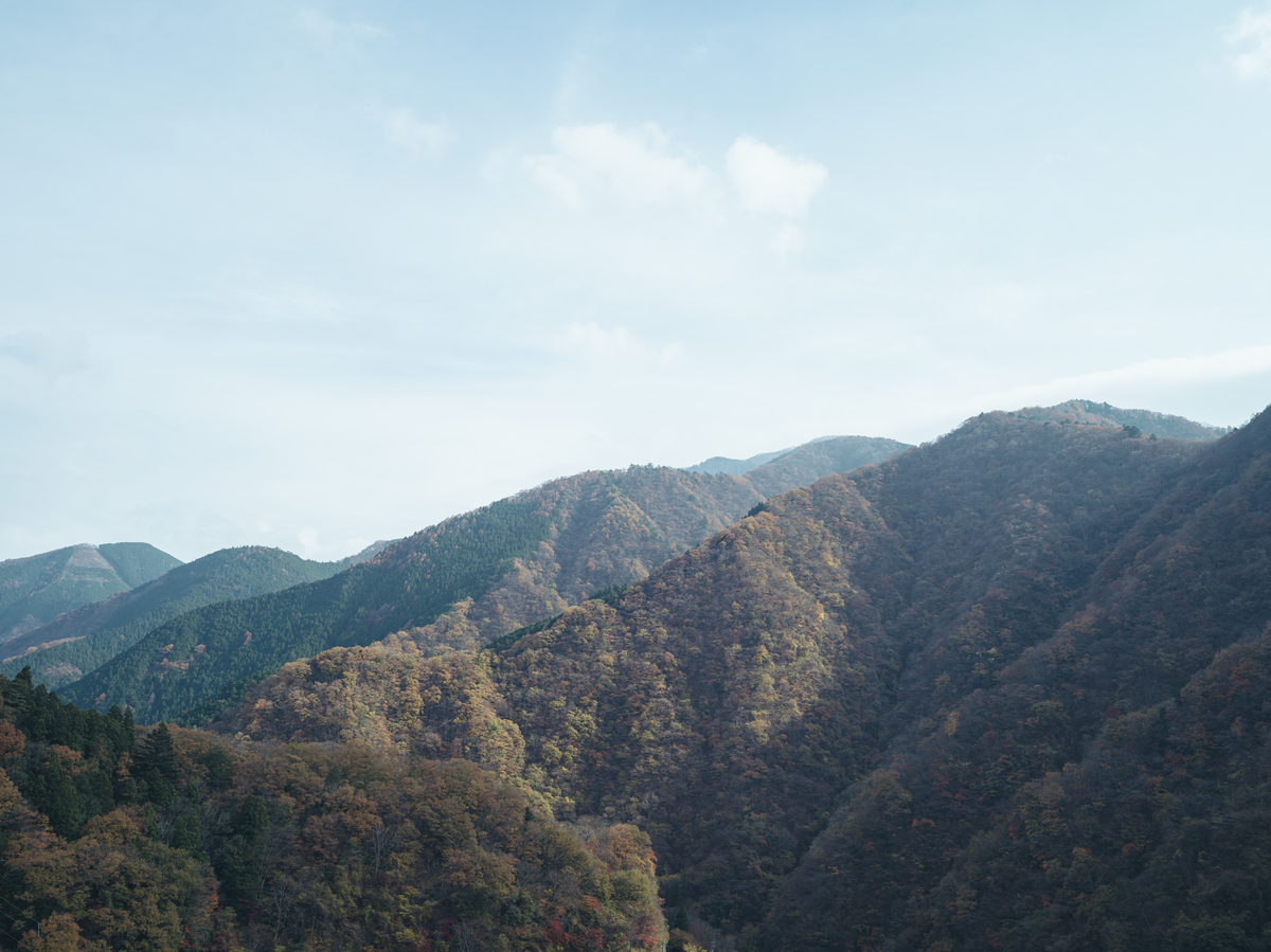 【Lightroom】アナタの写真が劇的に変わる！ 魔法の無料プリセット詰め合わせ - PhoNovice