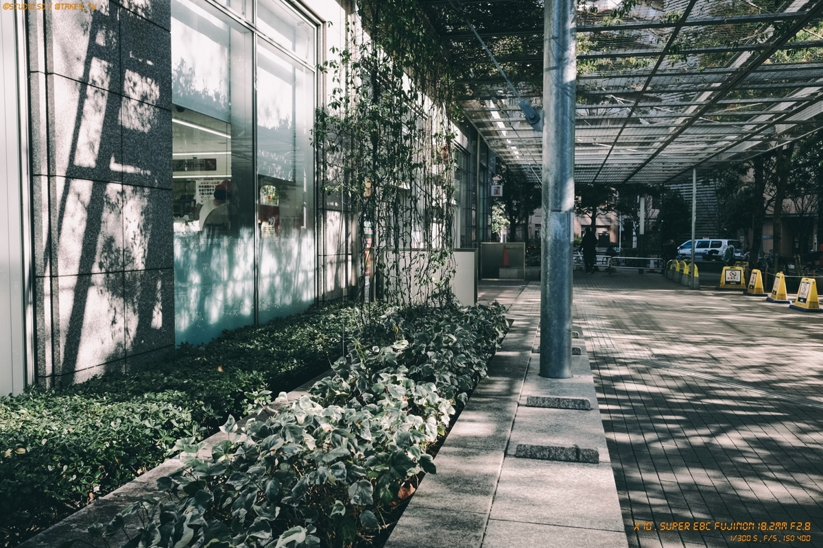 中判カメラで挑んだ2023年 - PhoNovice