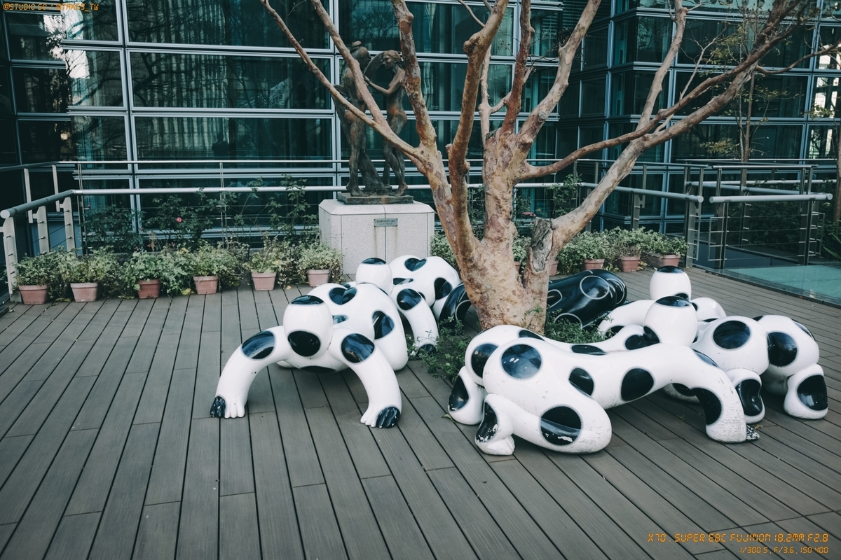 中判カメラで挑んだ2023年 - PhoNovice