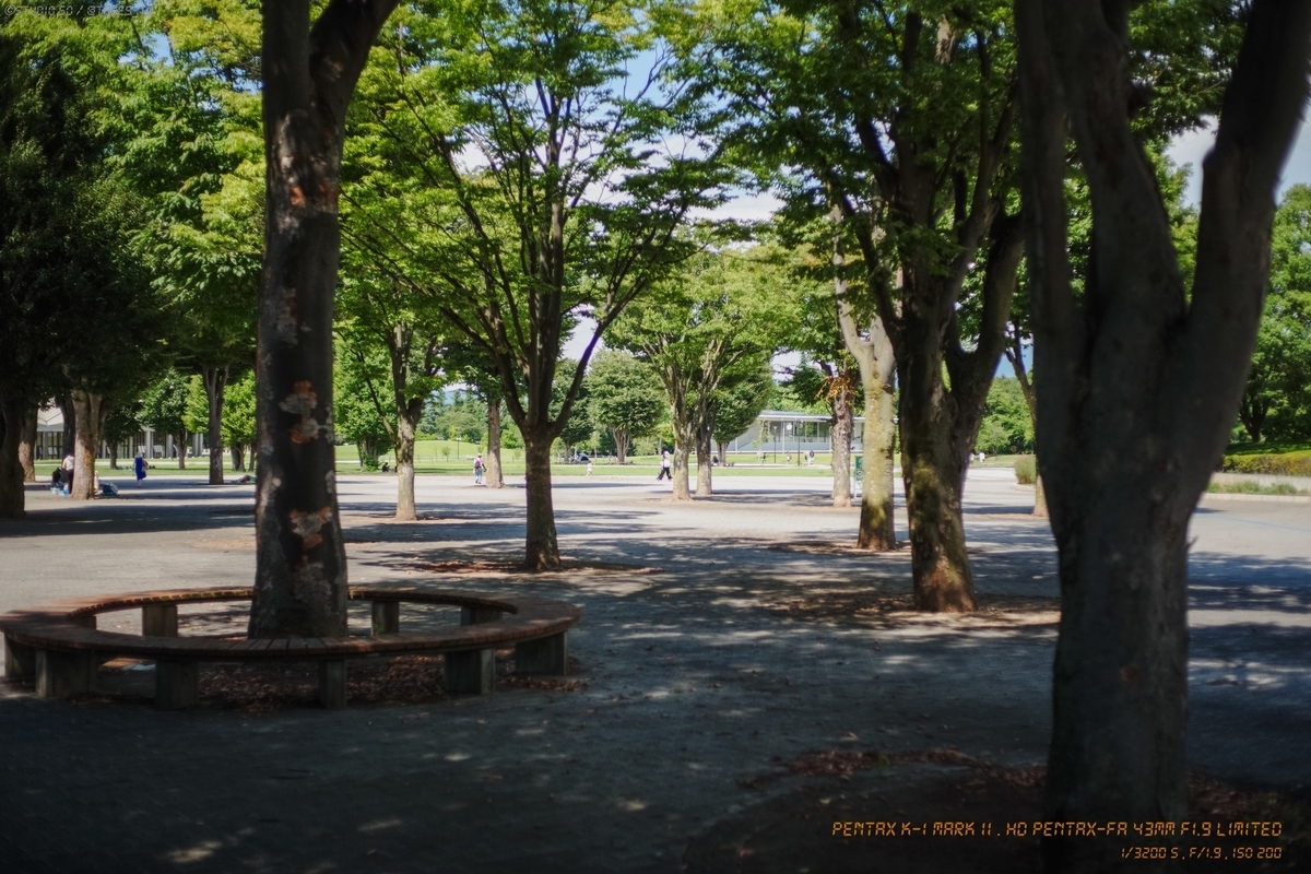 【PENTAX】心のつらさを紛らわせるHD FA43/1.9 - PhoNovice