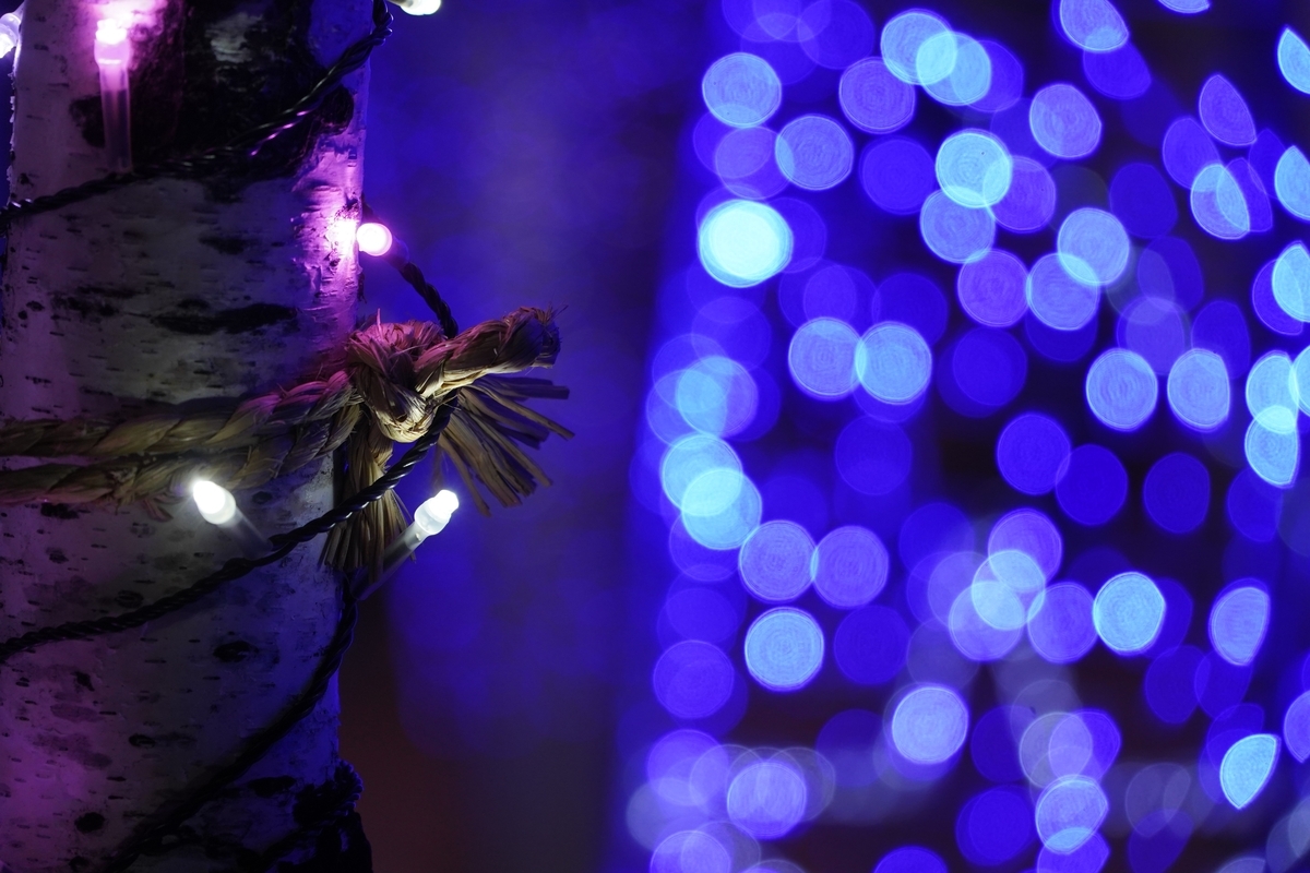 【TAMRON】ひと目で、尋常でないレンズだと見抜いたよ【28-300mm F4-7.1 Di III VC VXD(A074)レビュー】 - 単焦時間のFocus on!!