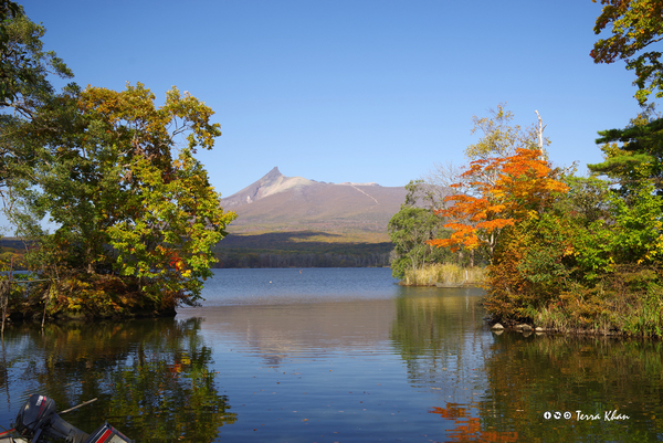 Maple Wizen 2018 - ちょっと呟いてみる
