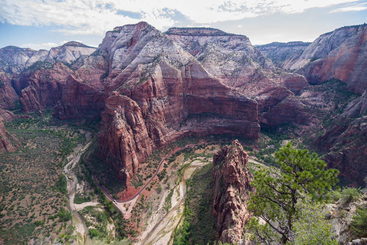 聖域を撮る！- ザイオン国立公園その3 - - Outdoor Photography from USA