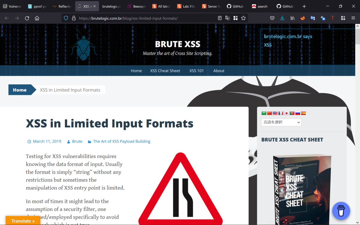 Reflected User Input == XSS!を訳してみた - Shikata Ga Nai