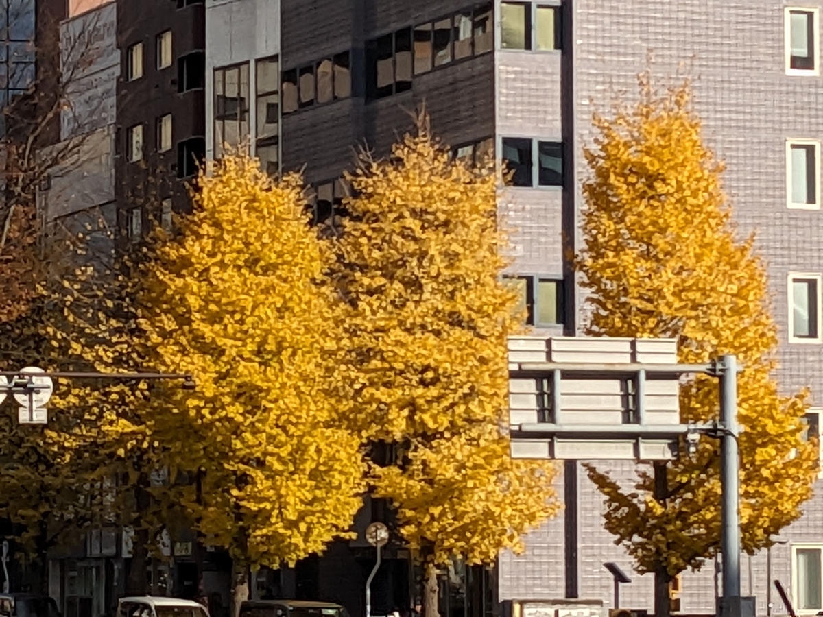 簡単で す！仙台市でシェイミをつかまえよう - TonevoAdventCalendar