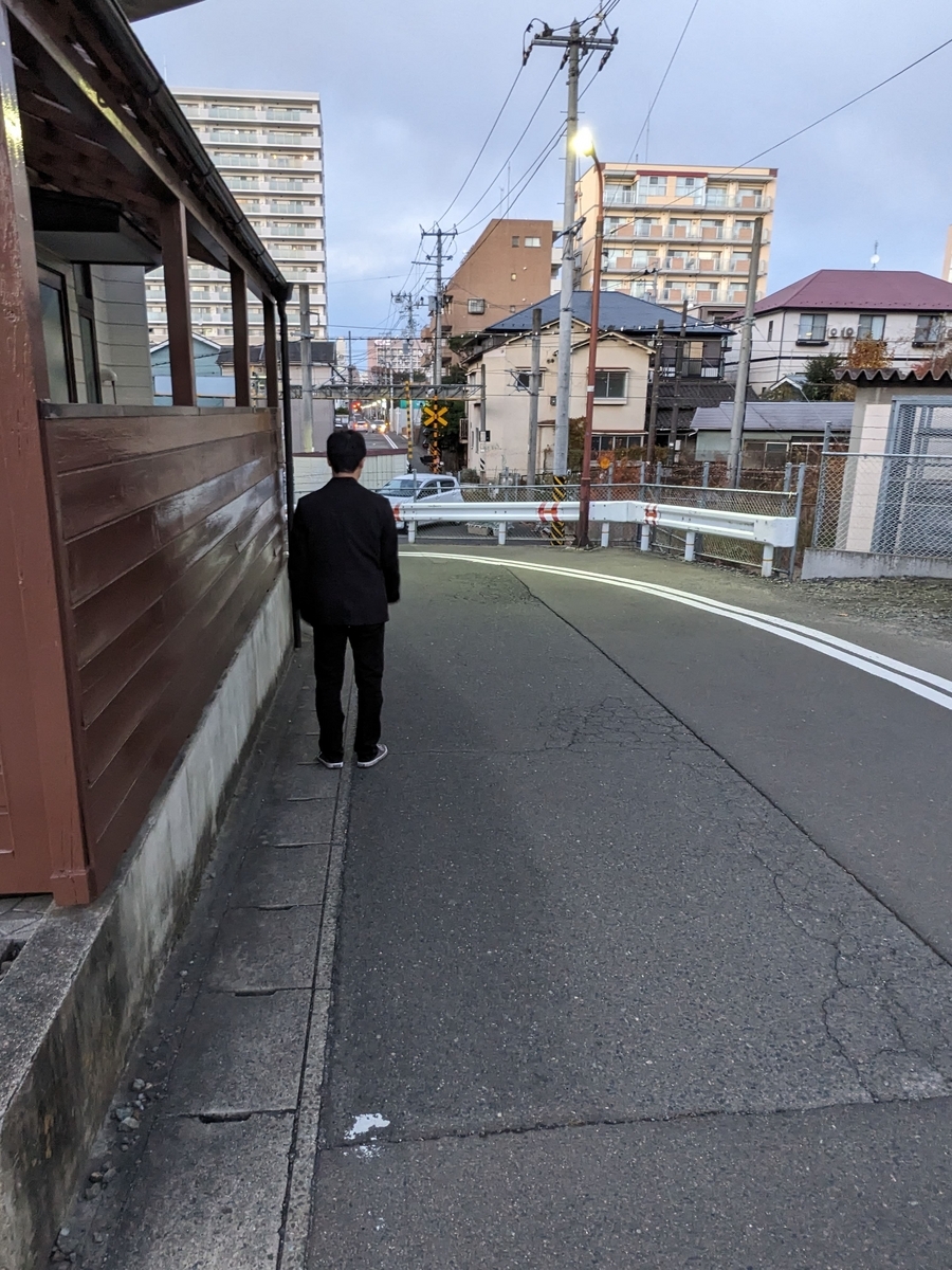 簡単で す！仙台市でシェイミをつかまえよう - TonevoAdventCalendar