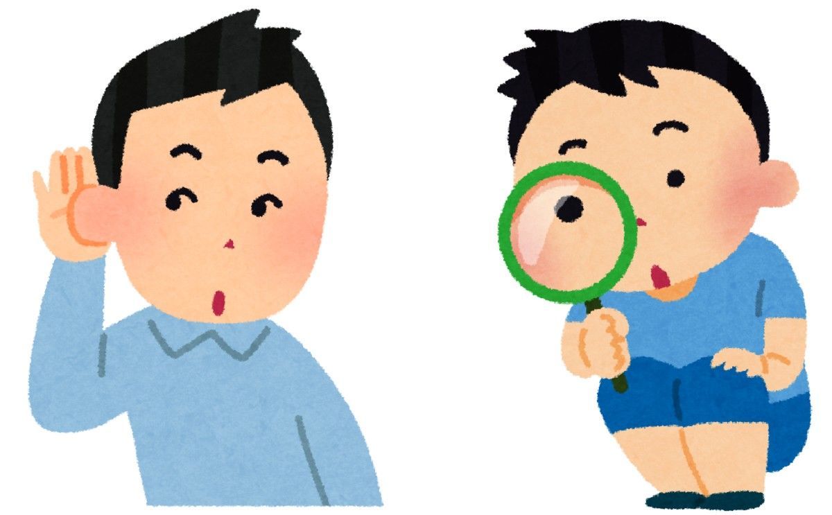 sound like と look like 「～のようだ」の違いと使い方 - ルーちゃんの🐾英語教室