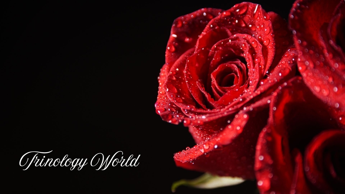 現実を選ぶ数字の流れ - Trinology World｜数秘術ブログ