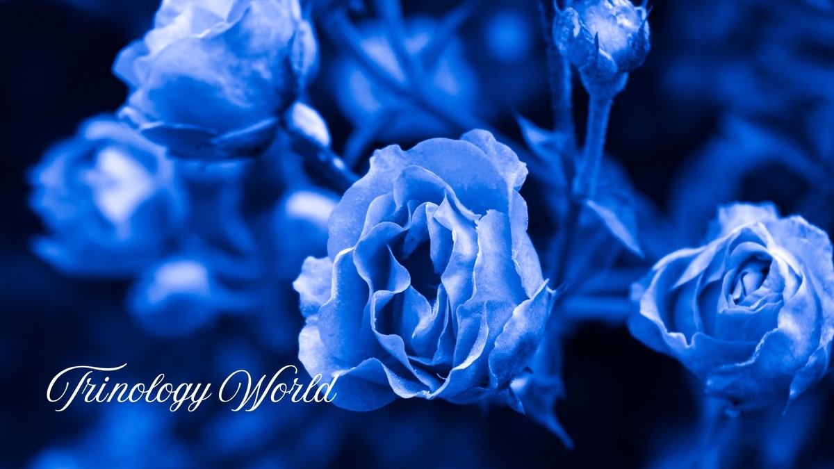 豊かさを引き寄せる言葉 - Trinology World｜数秘術ブログ