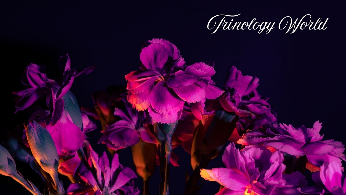 使命を果たす道 - Trinology World｜数秘術ブログ