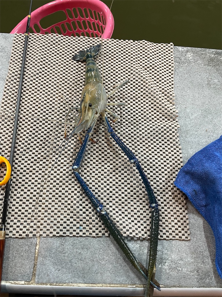 当たればデカい！ でも打率二割台… @บ่อตกกุ้ง บ้านเพื่อน - Tsuri-taro’s blog