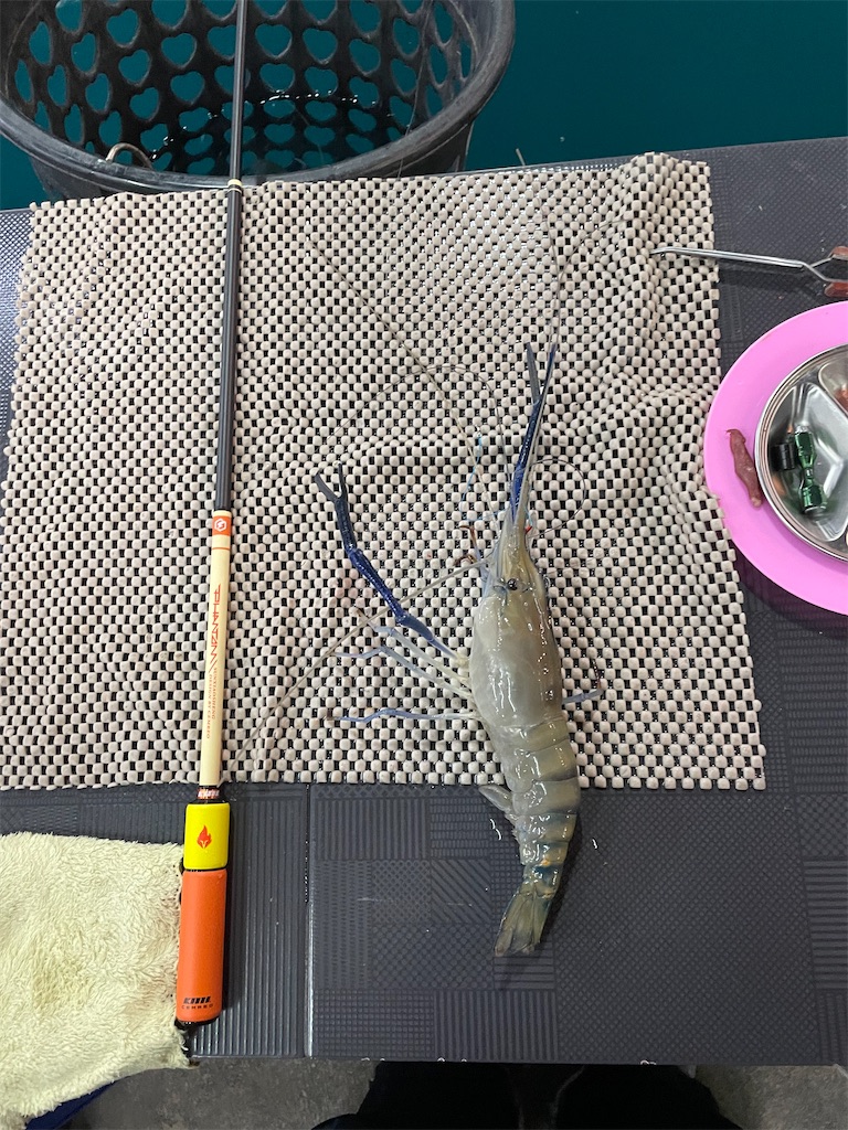 久々にBTで大暴れした話 with ビールボーイズ @BT - Tsuri-taro’s blog