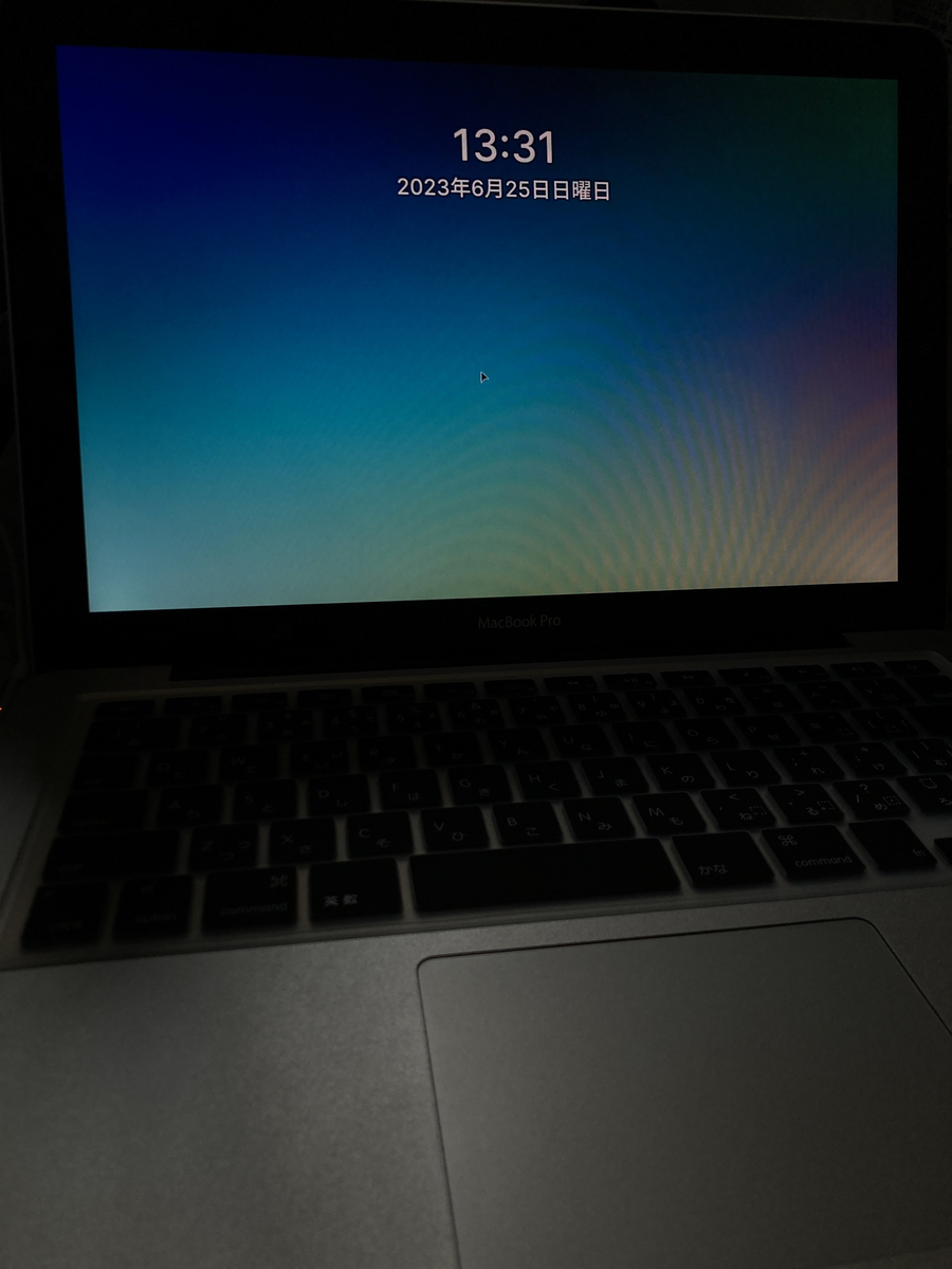 【備忘録】Linuxで誤って「sudo chmod -R 700 /」を打ってブラックスクリーンになったときに対処した方法 - もかの部屋