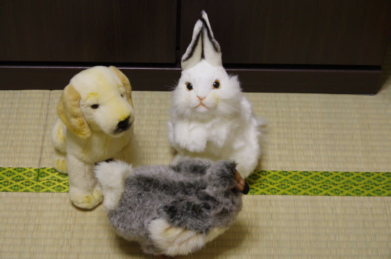 いが - うさぎくん